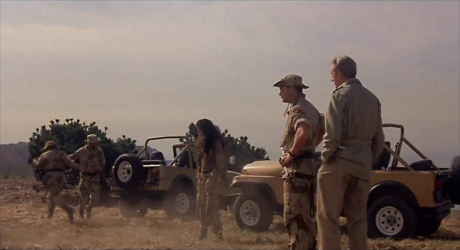 Never Too Young to Die (1986) – All Cars Featured in the Film | What's ...