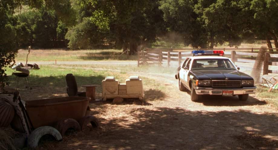 Joe Dirt (2001) – Plot Summary, Cast, Ratings & More | What's After the ...