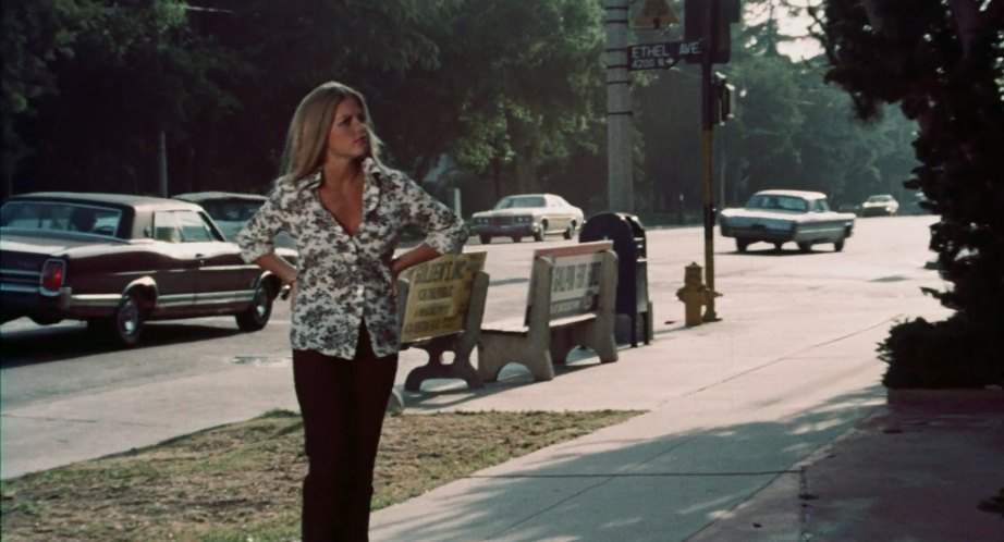 Pets (1973) – Plot Summary, Cast, Ratings & More | What's After the Movie?