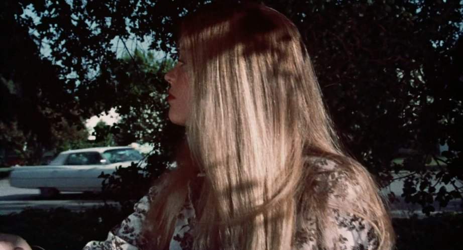 Pets (1973) – Plot Summary, Cast, Ratings & More | What's After the Movie?