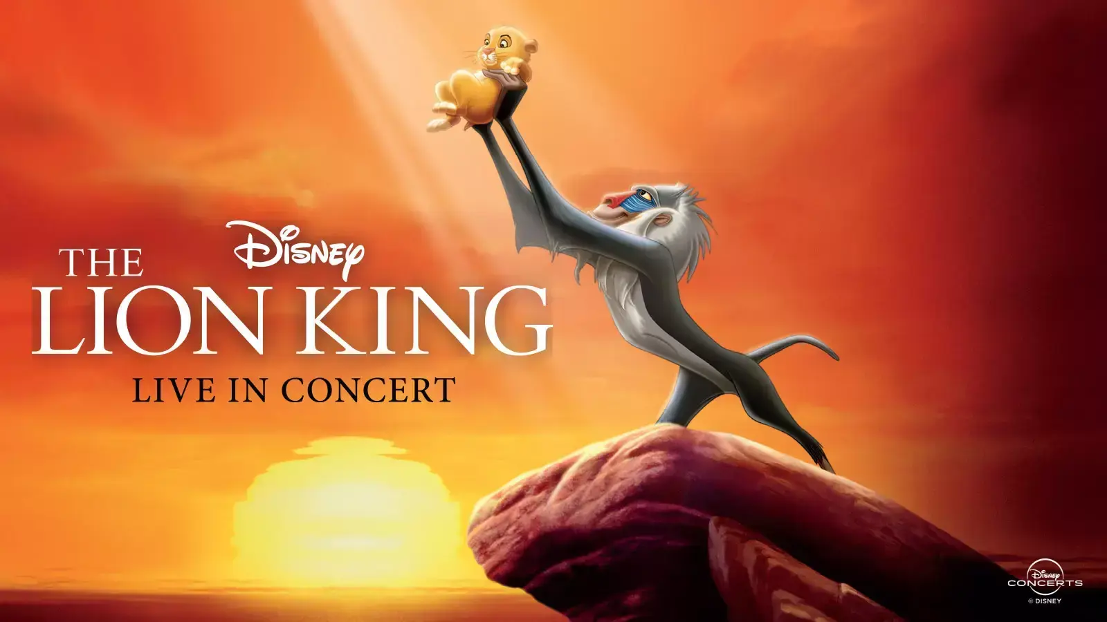 Disney’s The Lion King Live in Concert - Full Concert Film Guide ...