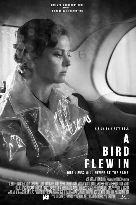 Bird (2024) Full Movie Summary & Plot Explained