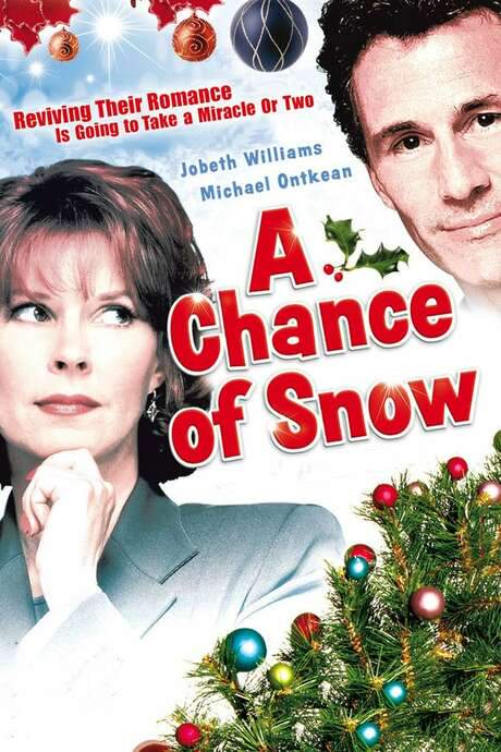 A Chance of Snow (1998) Full Movie Summary & Plot Explained