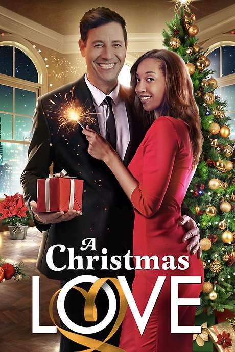 A Christmas Love (2020) Characters, Themes & Settings