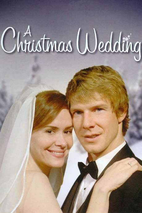 Merry Liddle Christmas Wedding (2020) Full Movie Summary & Plot Explained