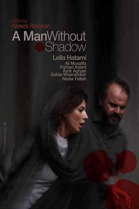 A Man without a Shadow (2019) Characters, Themes & Settings