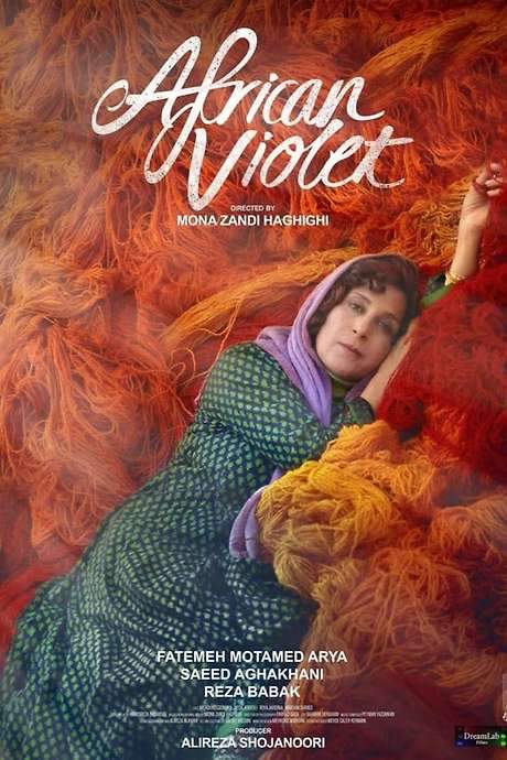 American Violet (2009) Full Movie Summary & Plot Explained