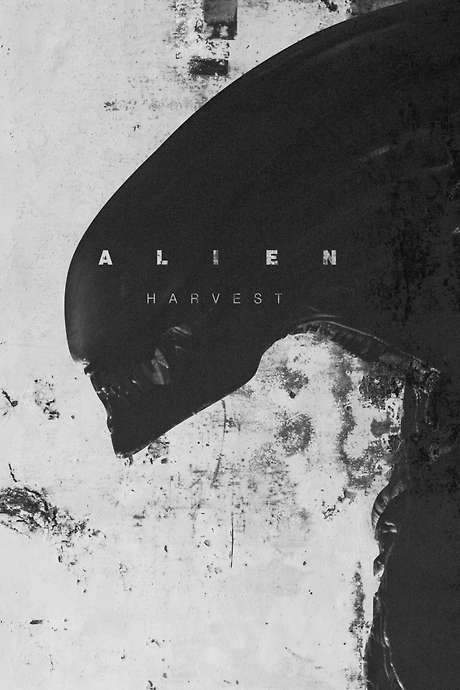 Aliens (1986) Full Movie Summary & Plot Explained