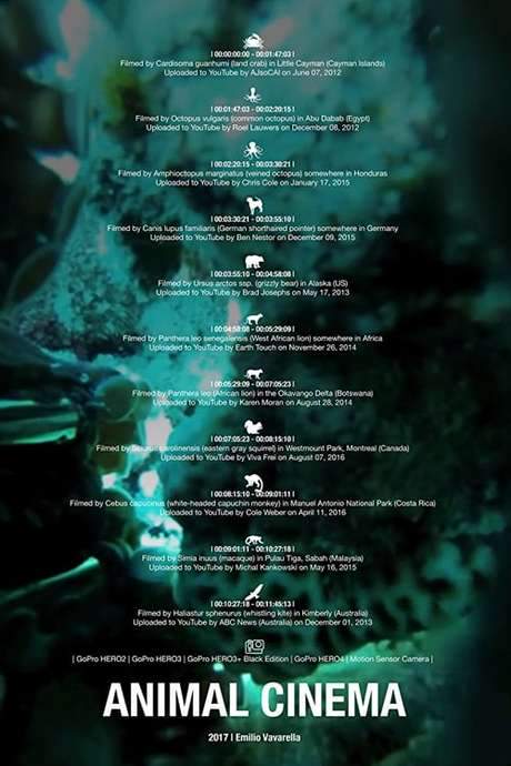 Animal Cinema (2017) Spoiler-Free Movie Summary & Plot Overview