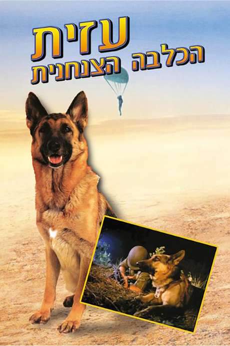 Azit the Paratrooper Dog (1972) Timeline – Scene-by-Scene Guide