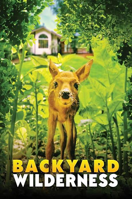Backyard Wilderness (2018) Timeline – Scene-by-Scene Guide