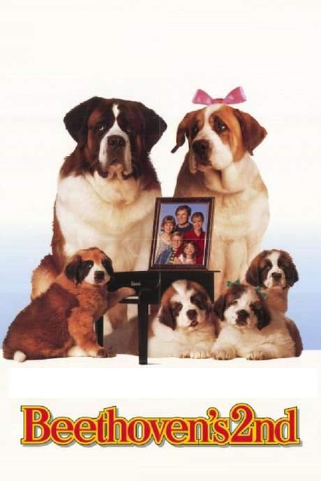 Beethoven (1992) Full Movie Summary & Plot Explained