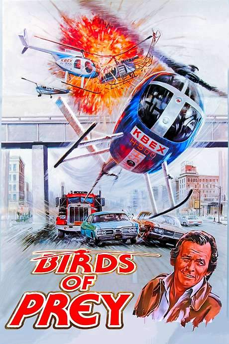 Fire Birds (1990) Full Movie Summary & Plot Explained