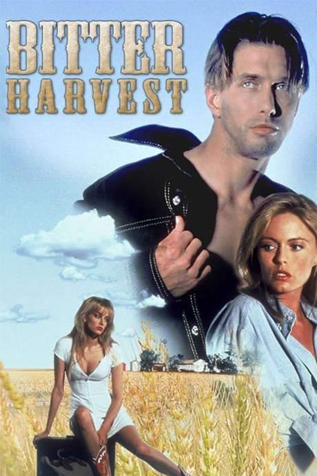 Harper (1966) Full Movie Summary & Plot Explained