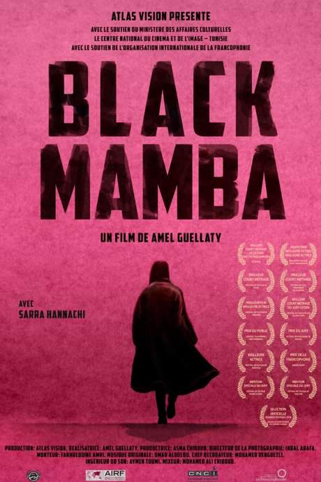 Black Mamba (2017) Timeline – Scene-by-Scene Guide