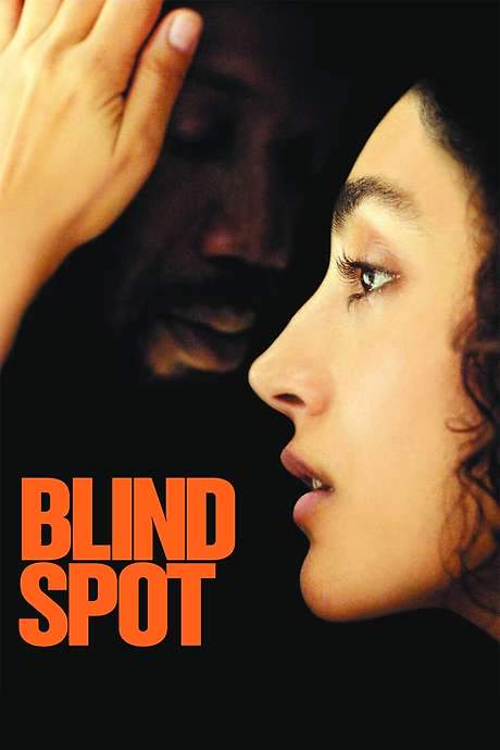 Blindness (2008) Full Movie Summary & Plot Explained
