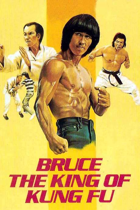 Bruce Lee - The Fighter (2015) Full Movie Summary & Plot Explained