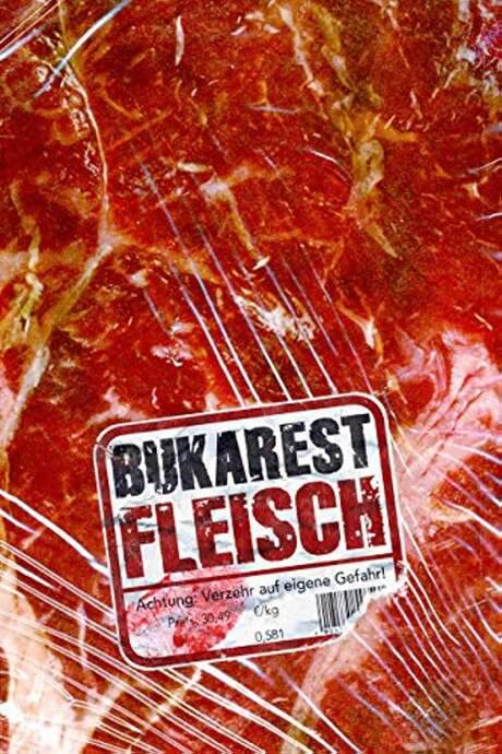 Bukarest Fleisch (2007) Timeline – Scene-by-Scene Guide