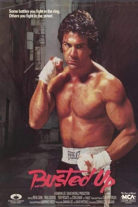Busted Up (1986) Spoiler-Free Movie Summary & Plot Overview