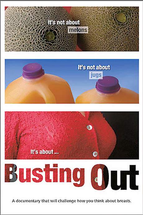 Busting out (2004) Timeline – Scene-by-Scene Guide