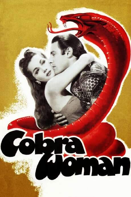 Cobra (1986) Full Movie Summary & Plot Explained