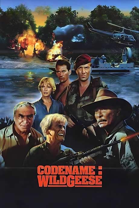 The Wild Geese (1978) Full Movie Summary & Plot Explained
