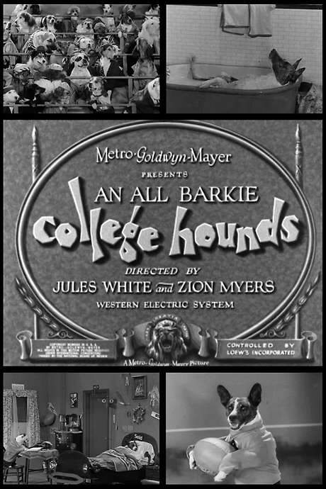 College Hounds (1929) Timeline – Scene-by-Scene Guide