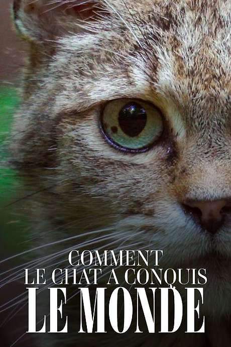 Comment le chat a conquis le monde (2020) Full Movie Summary & Plot ...