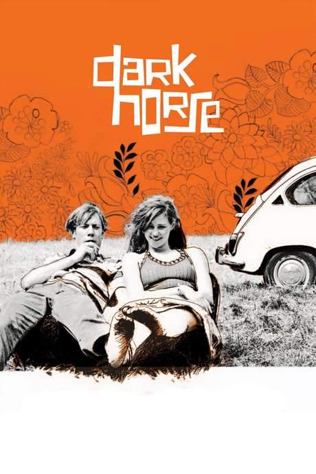 Dark Horse (2012) Full Movie Summary & Plot Explained