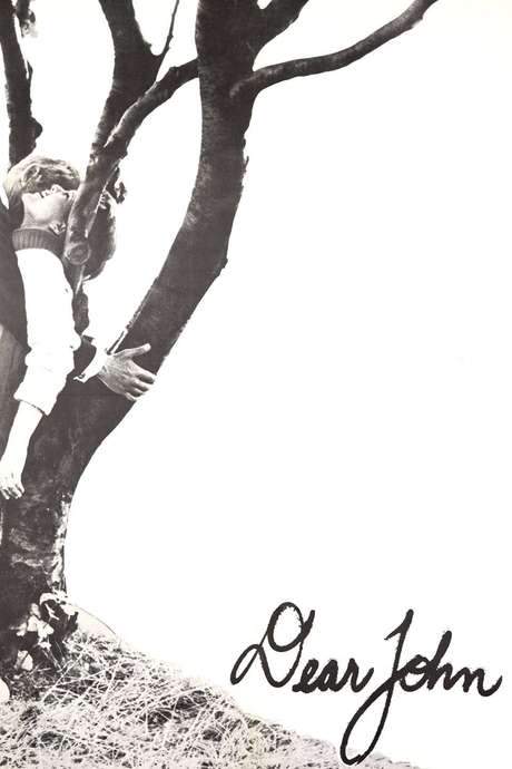 Dear John (2010) Full Movie Summary & Plot Explained