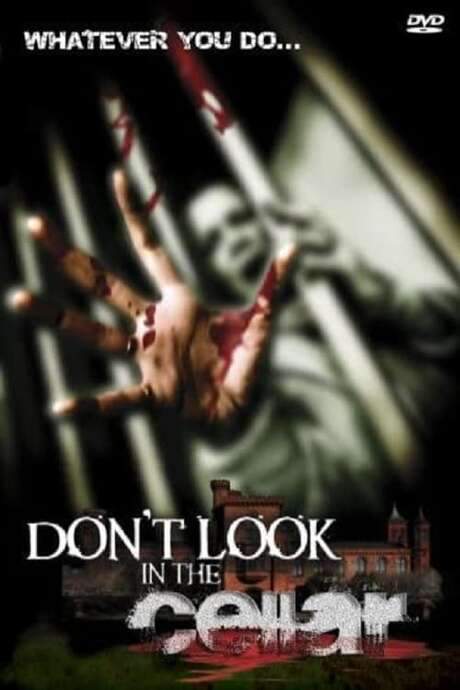 The Cellar (2022) Full Movie Summary & Plot Explained