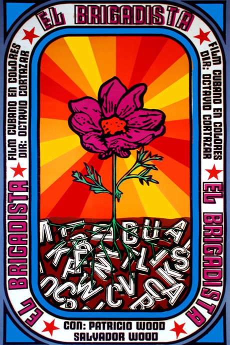 Che (2008) Full Movie Summary & Plot Explained