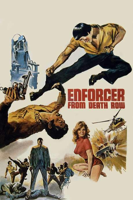 The Enforcer (1976) Full Movie Summary & Plot Explained