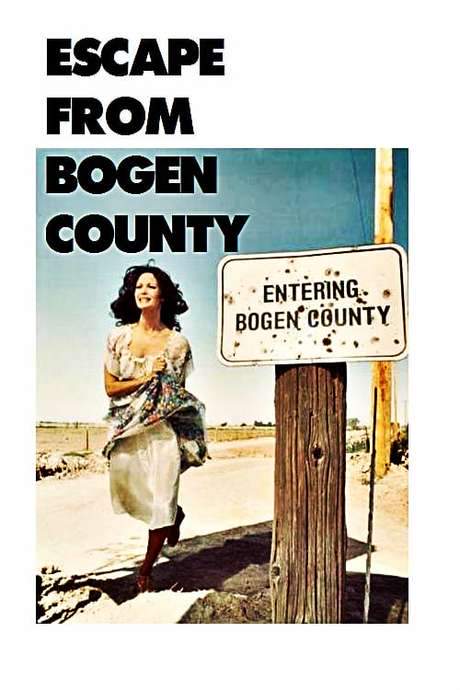 Escape from Bogen County (1977) Full Movie Summary & Plot Explained