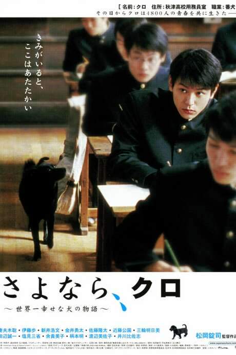 Hachi: A Dog’s Tale (2009) Characters, Themes & Settings