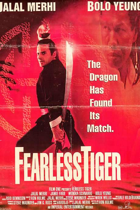 Fearless (2006) Full Movie Summary & Plot Explained