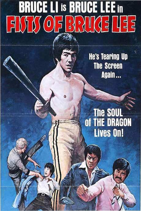 Bruce Lee - The Fighter (2015) Full Movie Summary & Plot Explained