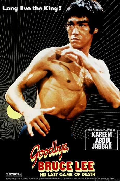 Goodbye Bruce Lee: His Last Game of Death (1975) Characters, Themes ...