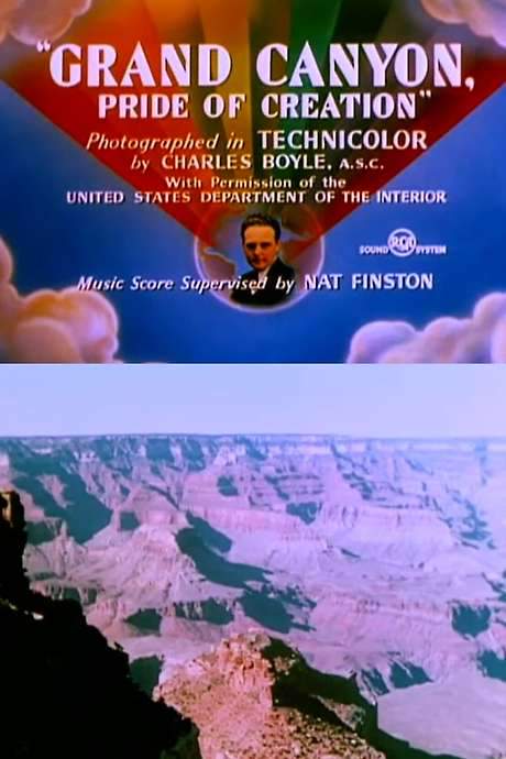 Grand Canyon (1991) Full Movie Summary & Plot Explained