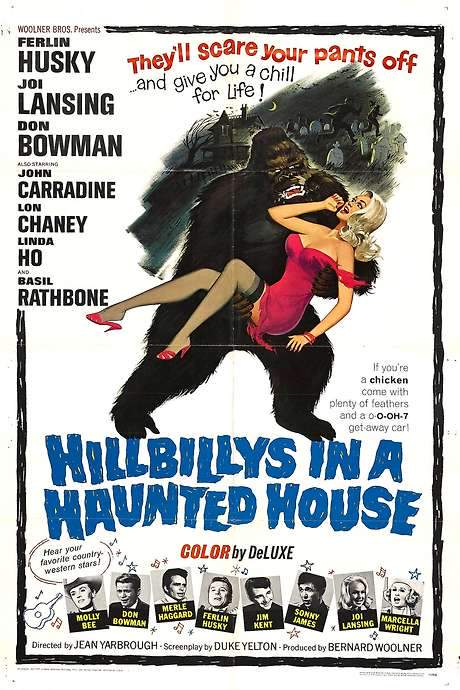 Hillbillys in a Haunted House (1967) – Plot Summary, Cast, Ratings ...