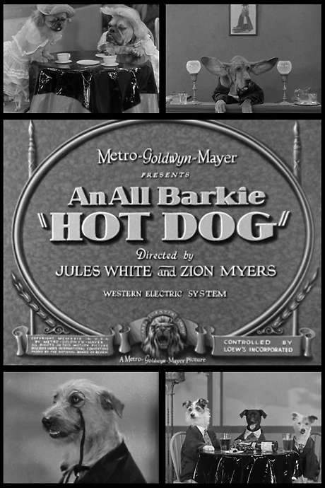 Hot Dog (1930) Timeline – Scene-by-Scene Guide