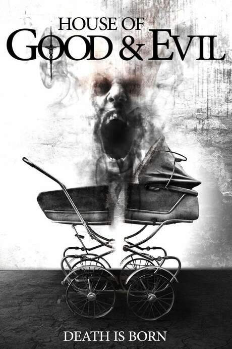 House of Good and Evil (2013) Full Movie Summary & Plot Explained