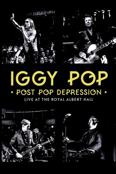Iggy Pop - Post Pop Depression (2016) – Plot Summary, Cast, Ratings ...