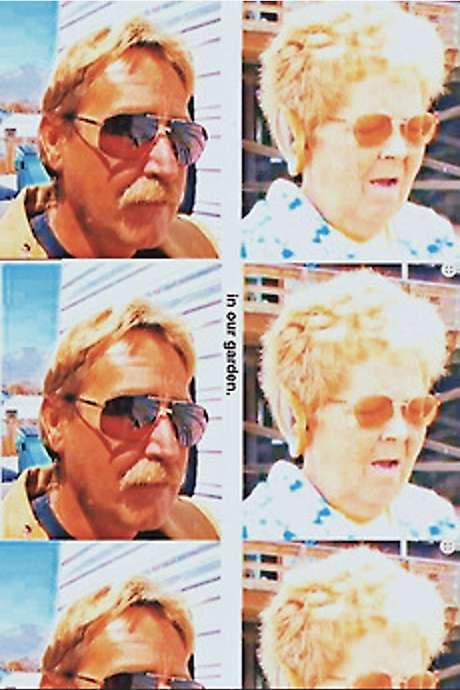 In Our Garden (2002) Timeline – Scene-by-Scene Guide