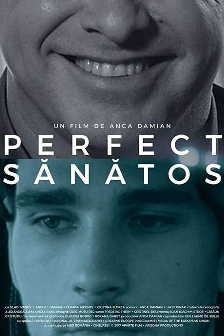 Perfect Days (2023) Full Movie Summary & Plot Explained