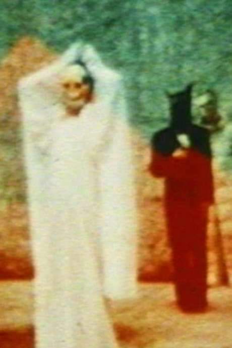 In the Shadow of the Sun (1981) Characters, Themes & Settings