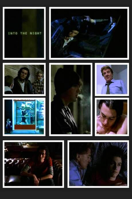 Into the Night (1985) – Plot Summary, Cast, Ratings & More | What's ...
