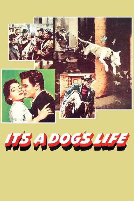 A Dog’s Life (1918) Full Movie Summary & Plot Explained