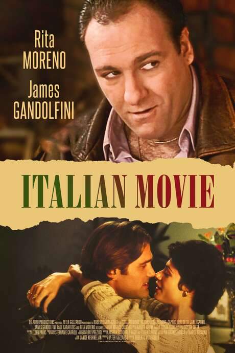 Italian Movie (1994) Spoiler-Free Movie Summary & Plot Overview
