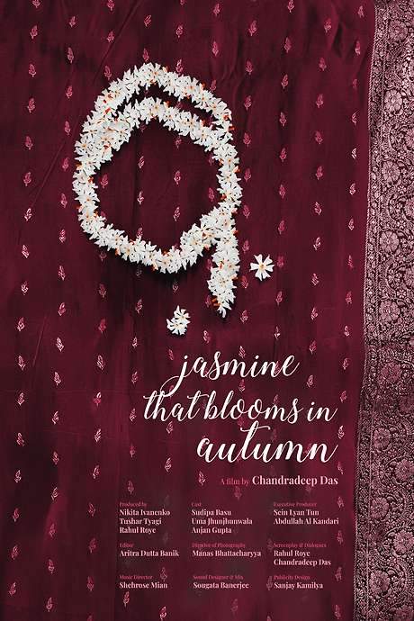 Blue Jasmine (2013) Full Movie Summary & Plot Explained